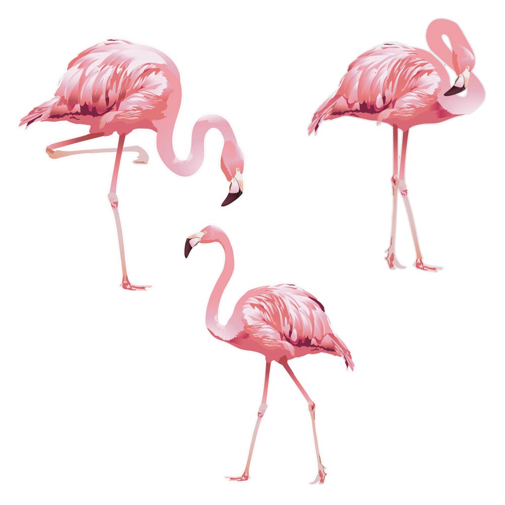 Set 3 autocolant de perete, Model Flamingo, Roz - eMAG.ro