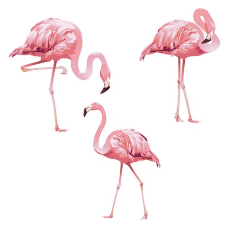 Set 3 autocolant de perete, Model Flamingo, Roz - eMAG.ro