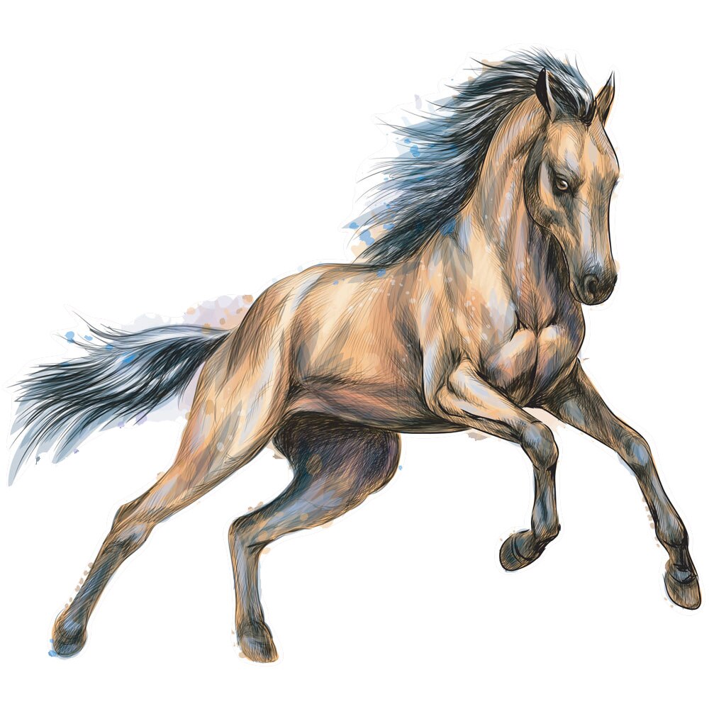 Sticker decorativ de perete, Model cal, Maro - eMAG.ro