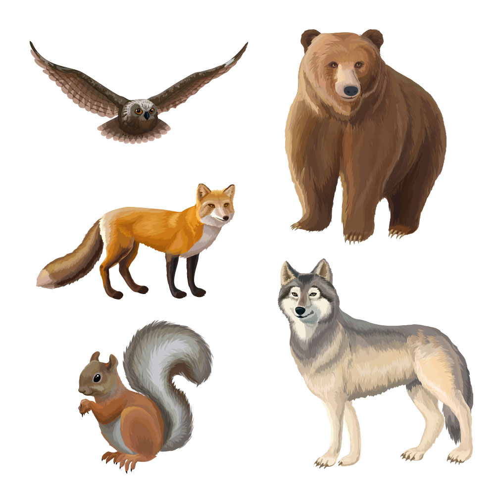 Set stickere autocolante perete copii, Animale din padure, Multicolor ...