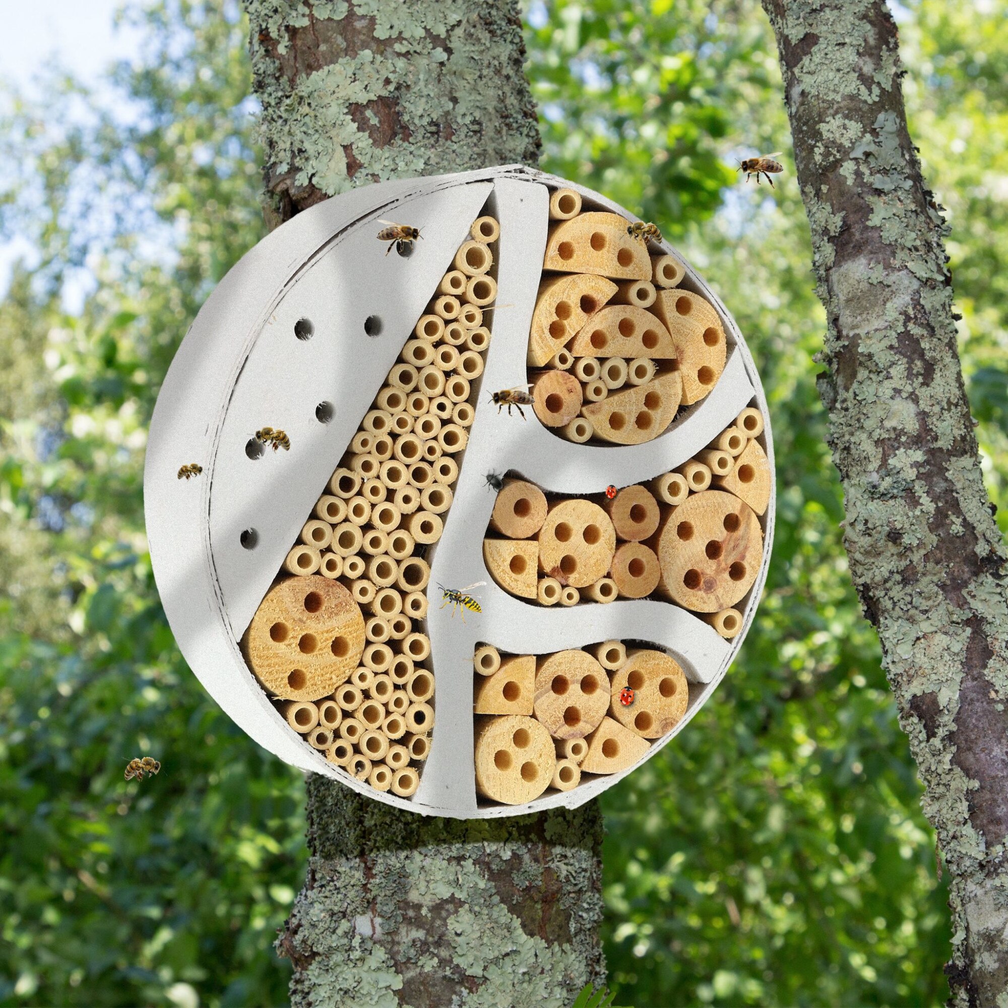 Casuta rotunda pentru insecte, din bambus, alb - eMAG.ro