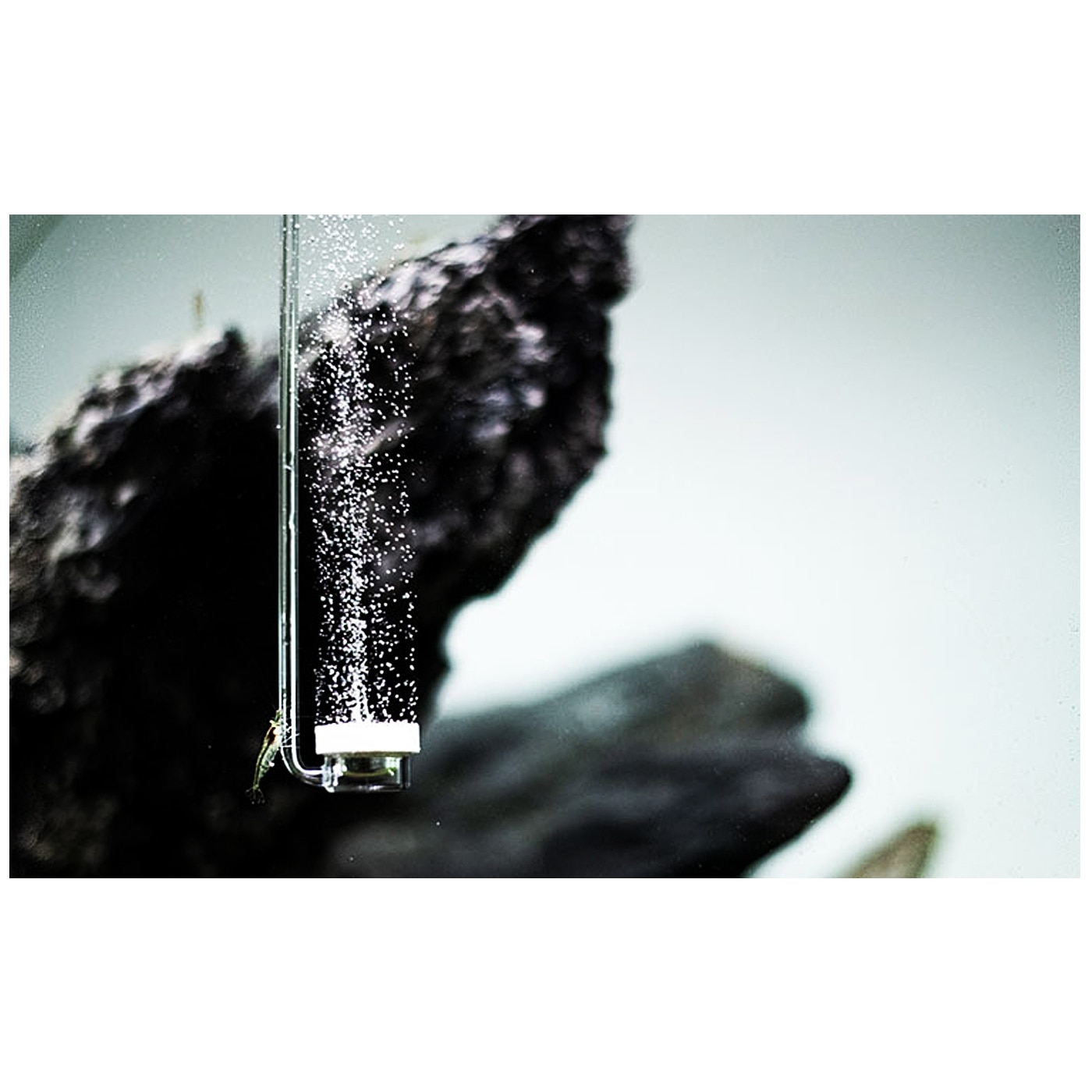 Difuzor CO2 cu cot Neo, Clip Moale M, 28cm, Argintiu - eMAG.ro