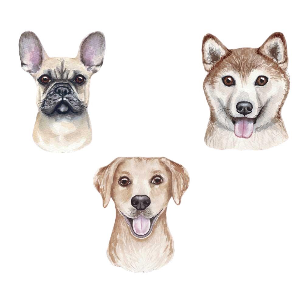 Set autocolante de perete pentru copii, Model- 3 caini, Multicolor ...