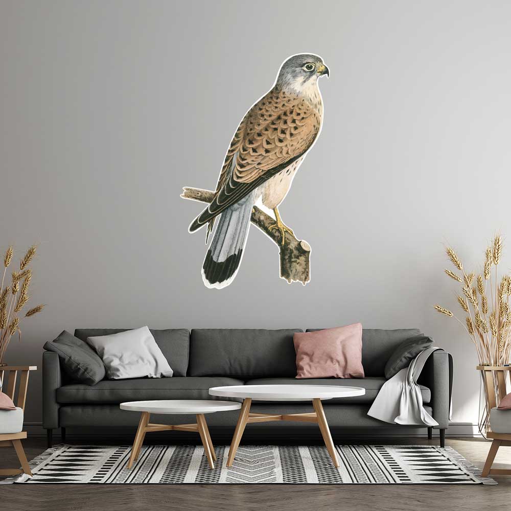 Autocolant de perete, Model- Uliu, Multicolor - eMAG.ro