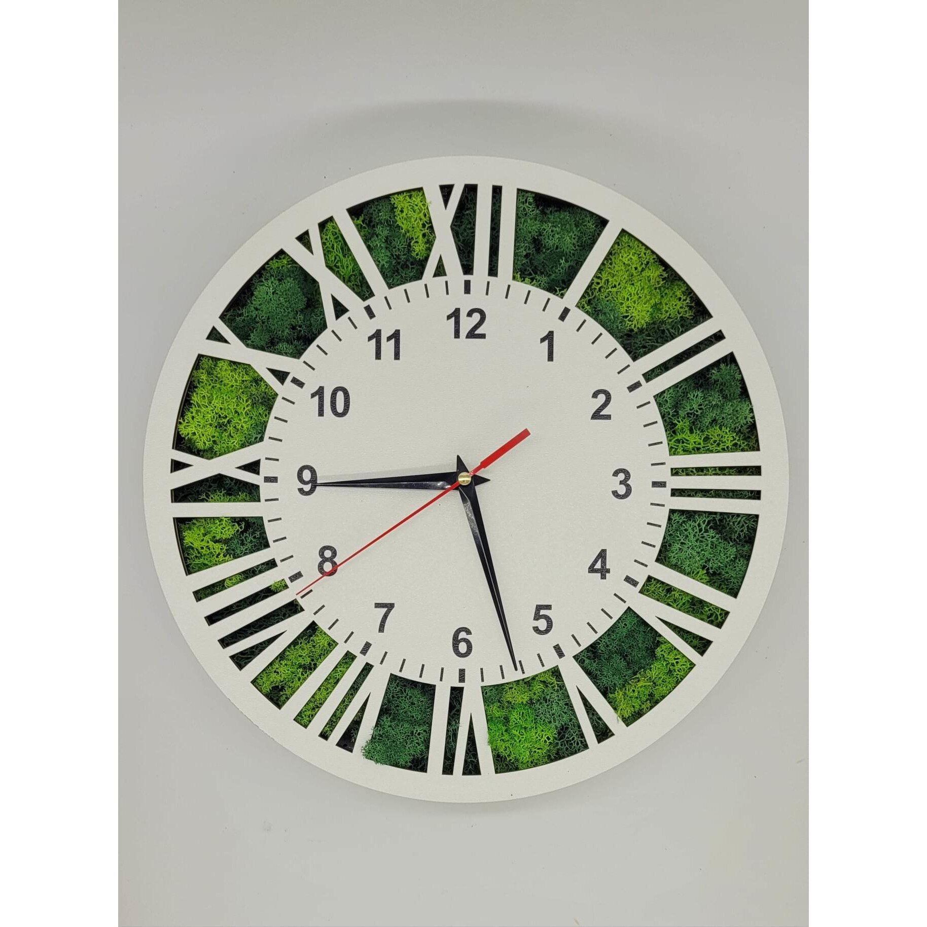 Ceas alb cu licheni stabilizati verzi, Model 2, 30cm Crioflora - eMAG.ro