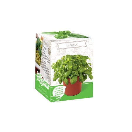 Kit complet de crestere Busuioc, ghiveci, substrat, seminte - eMAG.ro