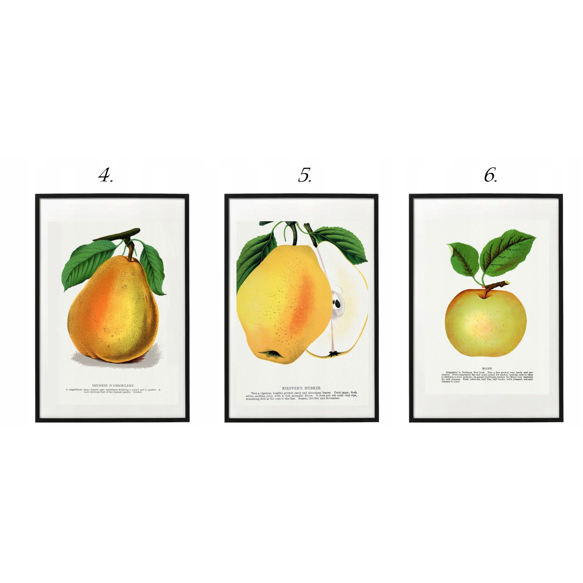 Poster Bucatarie Perete Mere Fructe 50x70 - eMAG.ro