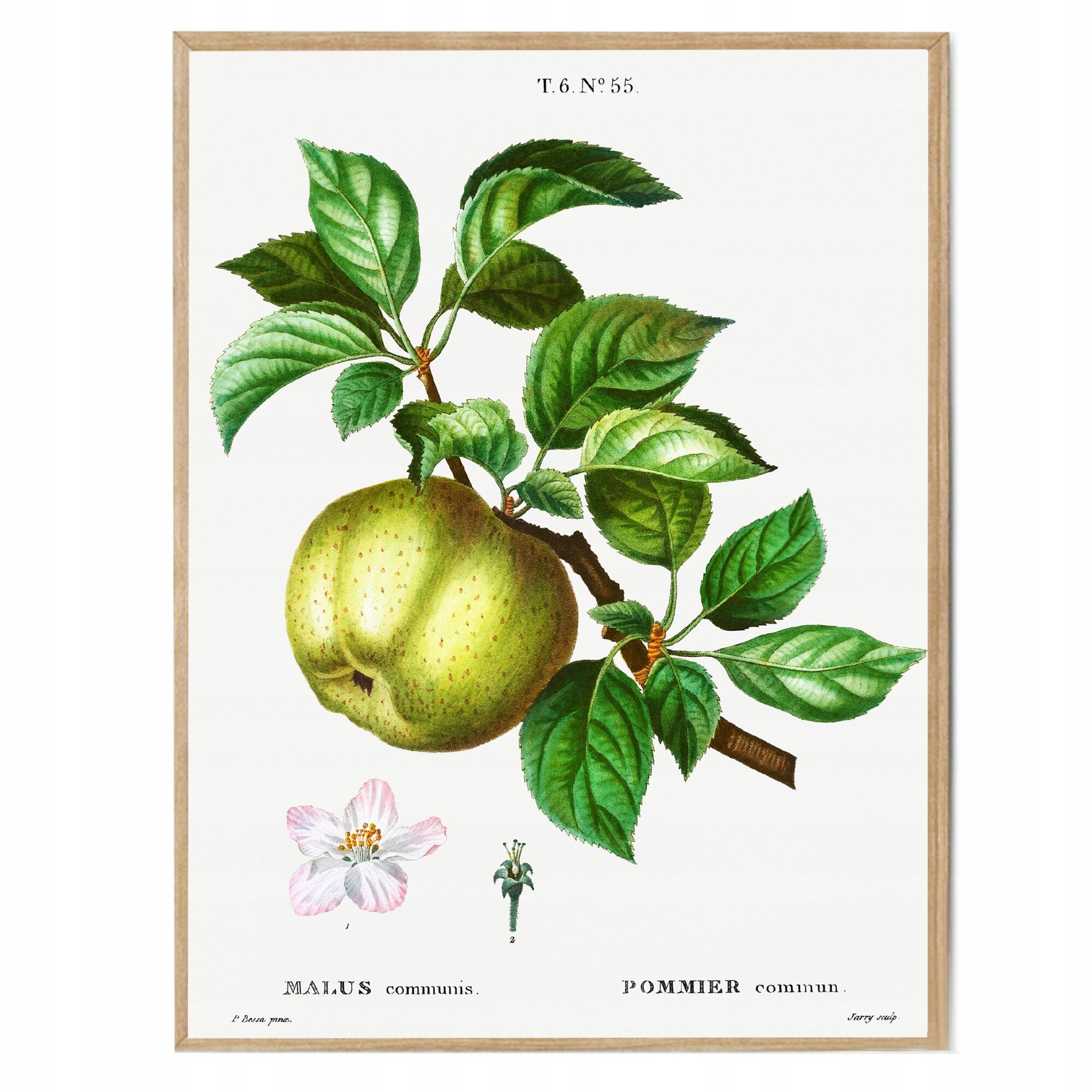Poster Decor Bucatarie Apple Apple Poza A2 - eMAG.ro