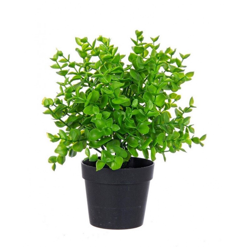 Set 4 plante artificiale in ghiveci 25 cm - eMAG.ro