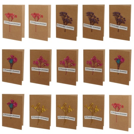 Set 15 felicitari cu modele aplicate, PAMI, FEL-5, 15x9 cm - eMAG.ro