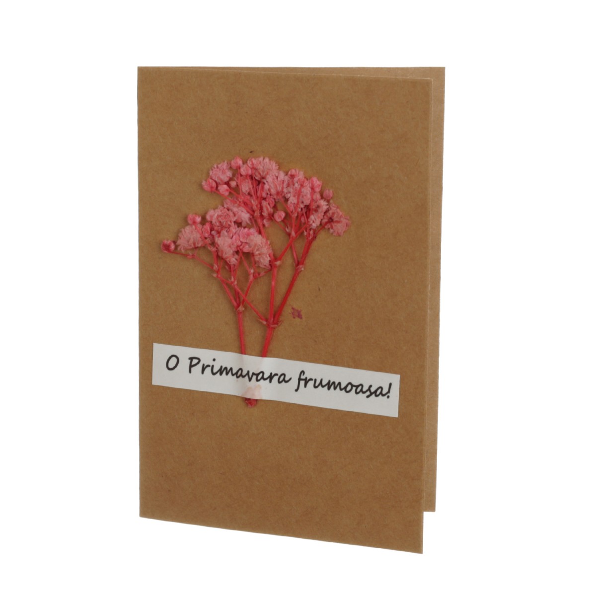 Set 15 felicitari cu modele aplicate, PAMI, FEL-11, 15x9 cm - eMAG.ro