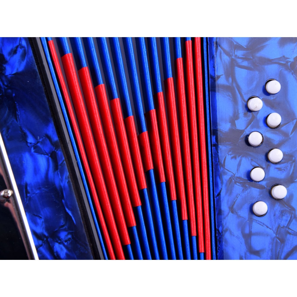 Acordeon mare copii Harmony IN0148, Plastic, 23 x 23 x 10 cm ...