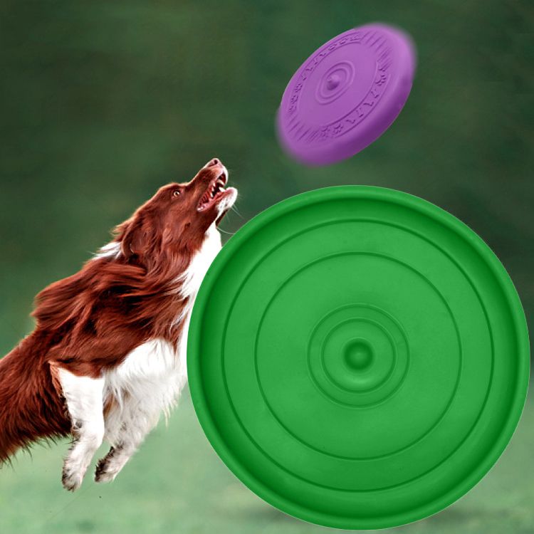 Disc zburator frisbee, Plastic, 21 cm, Verde - eMAG.ro