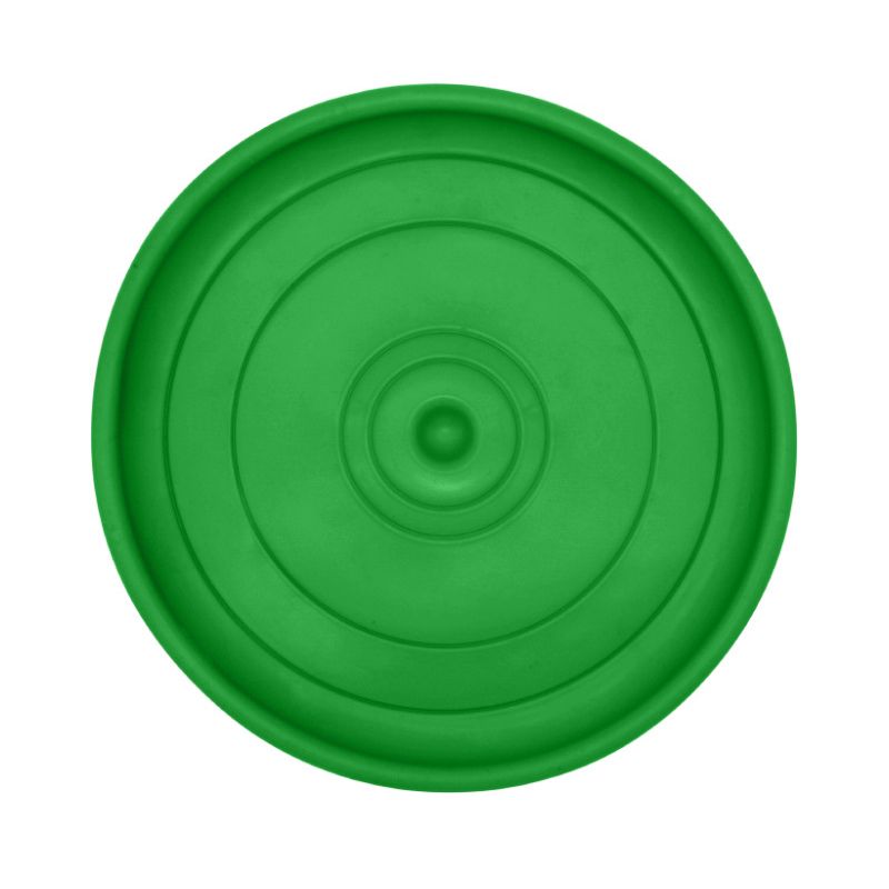 Disc zburator frisbee, Plastic, 21 cm, Verde - eMAG.ro