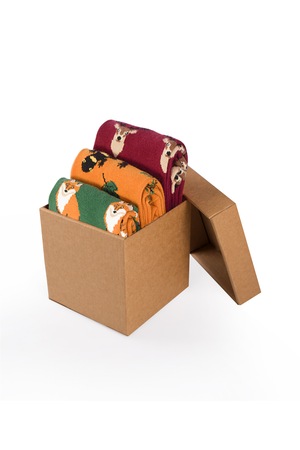 Sosete bumbac Forest Animals Box, 3 buc. - eMAG.hu