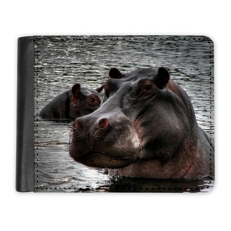 Viziló 26 pénztárca - eMAG.hu