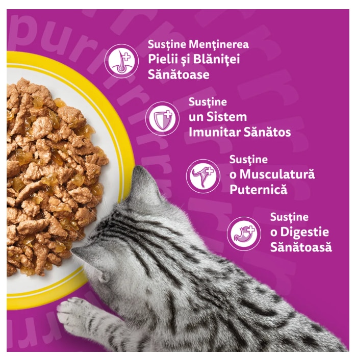 Hrana umeda pentru pisici adulte Whiskas cu carne de pasare (pui, rata ...