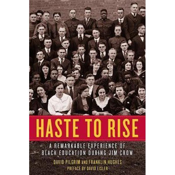 Haste to Rise: A Remarkable Experience of Black Education During Jim ...