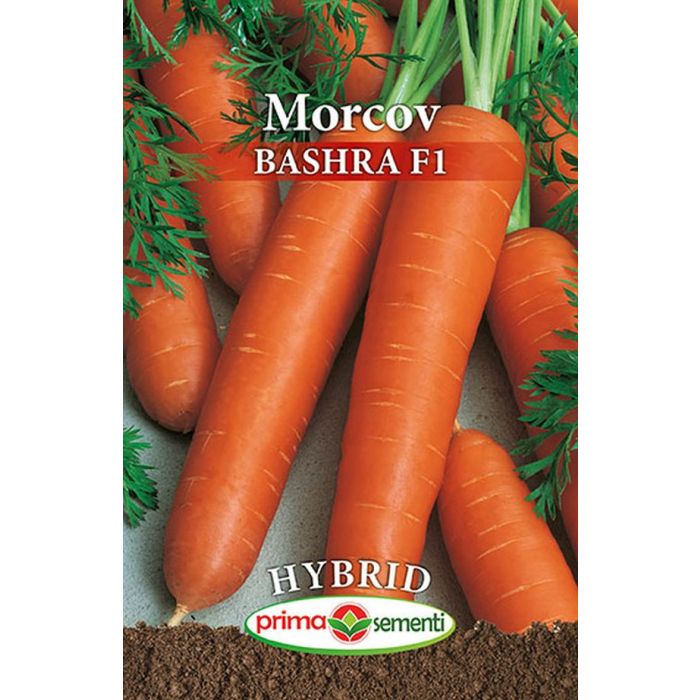 Seminte morcov Bashra F1 Hybrid - eMAG.ro