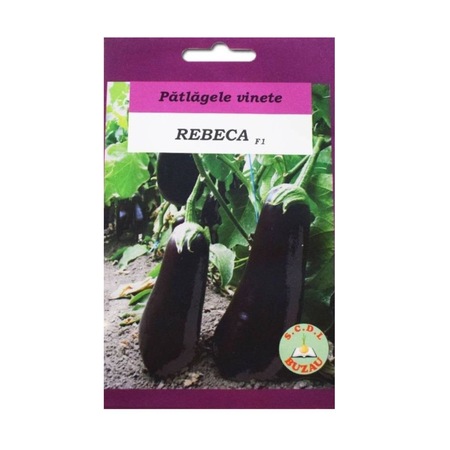 Seminte romanesti de vinete Rebeca F1, 2 grame, SCDL Buzau - eMAG.ro