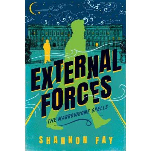External Forces - Shannon Fay - eMAG.ro
