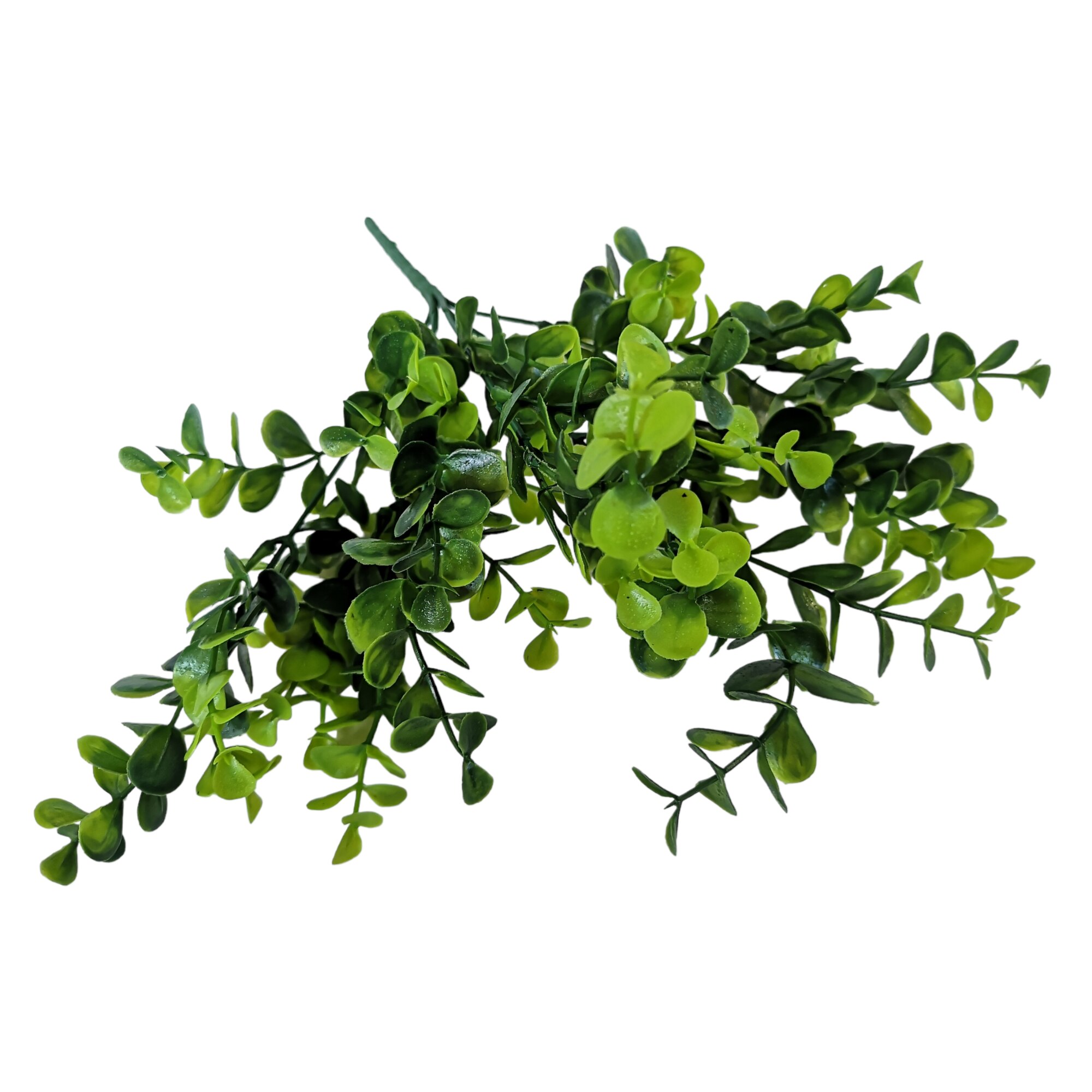 Set de 10 buchete de verdeata decorativa artificiala, Dady, buxus verde ...