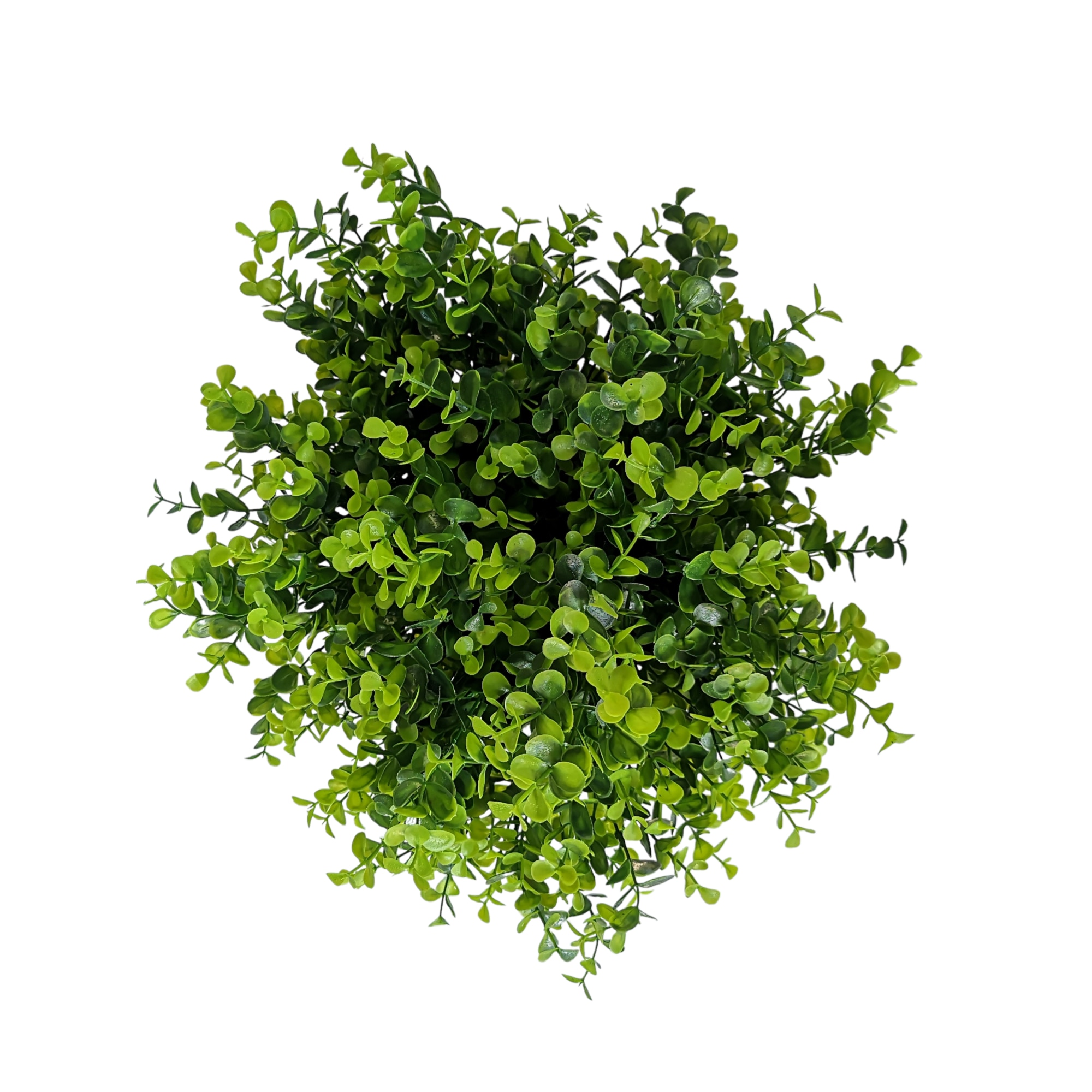 Set de 10 buchete de verdeata decorativa artificiala, Dady, buxus verde ...