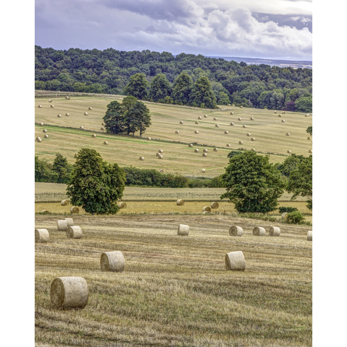 Poster perete, Zakito Posters, 40x50cm Capite de fan in camp, Assaf ...