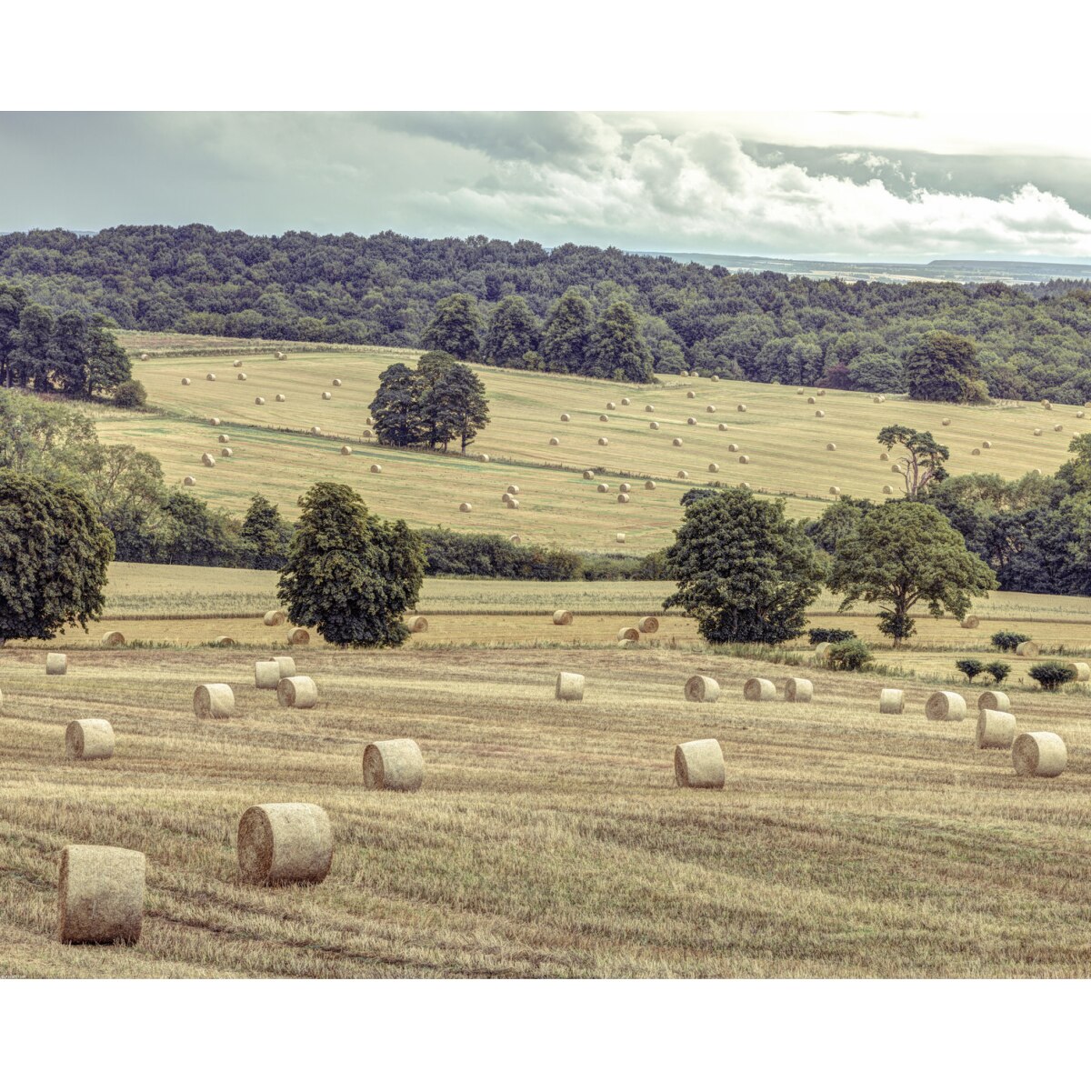 Poster perete, Zakito Posters, 76x60,5cm Capite de fan in camp 2, Assaf ...