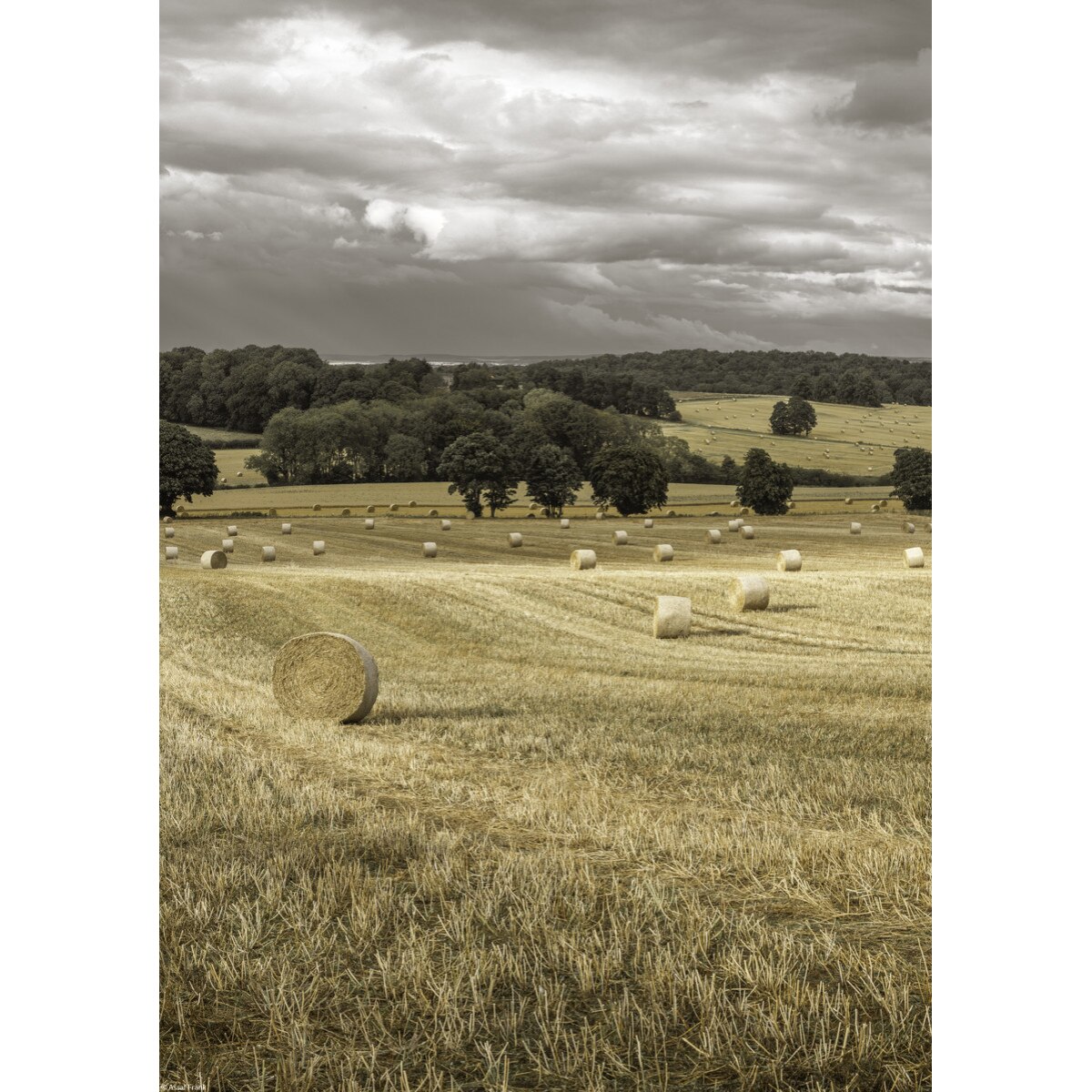 Poster perete, Zakito Posters, 29,7x42cm Capite de fan in camp 3, Assaf ...