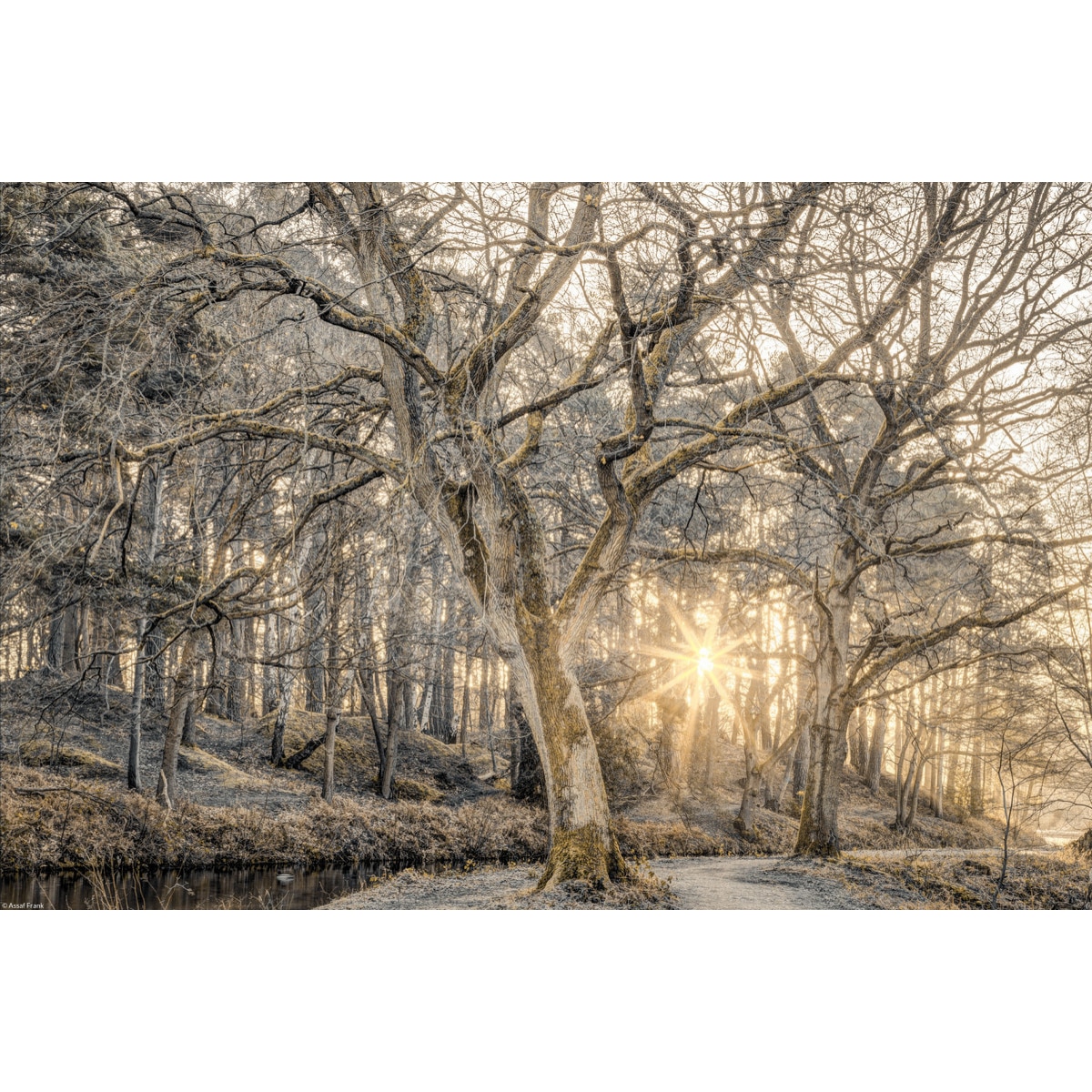 Poster perete, Zakito Posters, 45x30cm Canal in mediul rural cu copaci ...