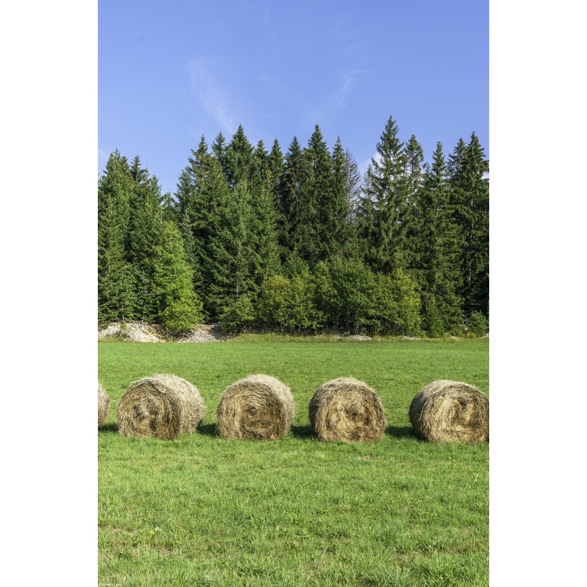Poster perete, Zakito Posters, 30x45cm Capite de fan pe un camp de ...