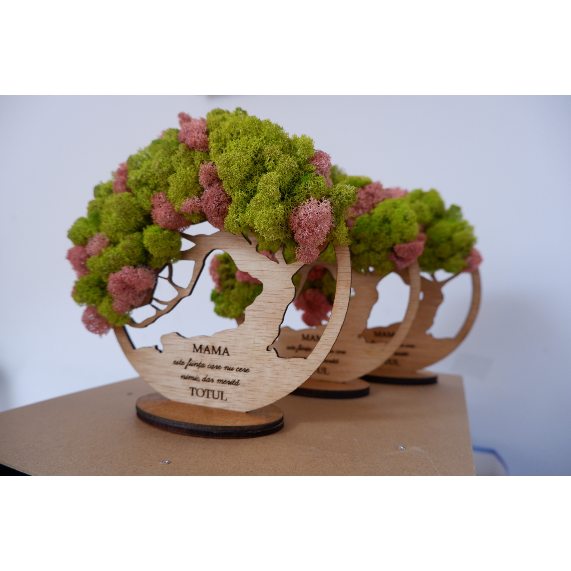 Decoratiune, Copac din lemn cu suport decorat cu licheni stabilizati ...