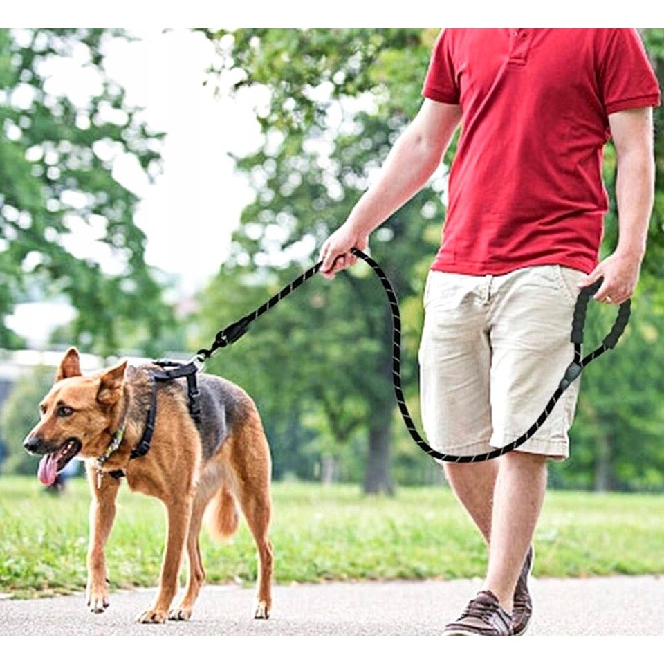 Lesa de caine, Reflectorizanta, 2 m, Negru - eMAG.ro