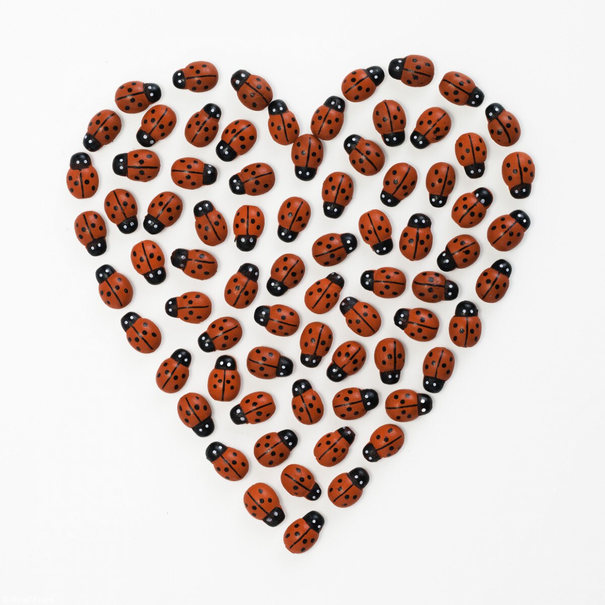 Poster perete, Zakito Posters, 20x20cm Ladybird inima pe fundal alb ...