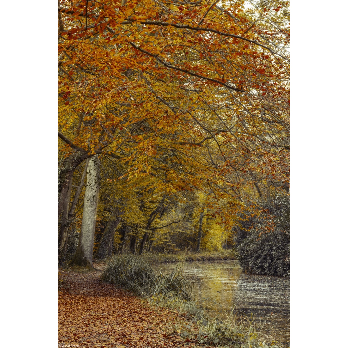 Poster perete, Zakito Posters, 20x30cm Calea de langa canal, Assaf ...