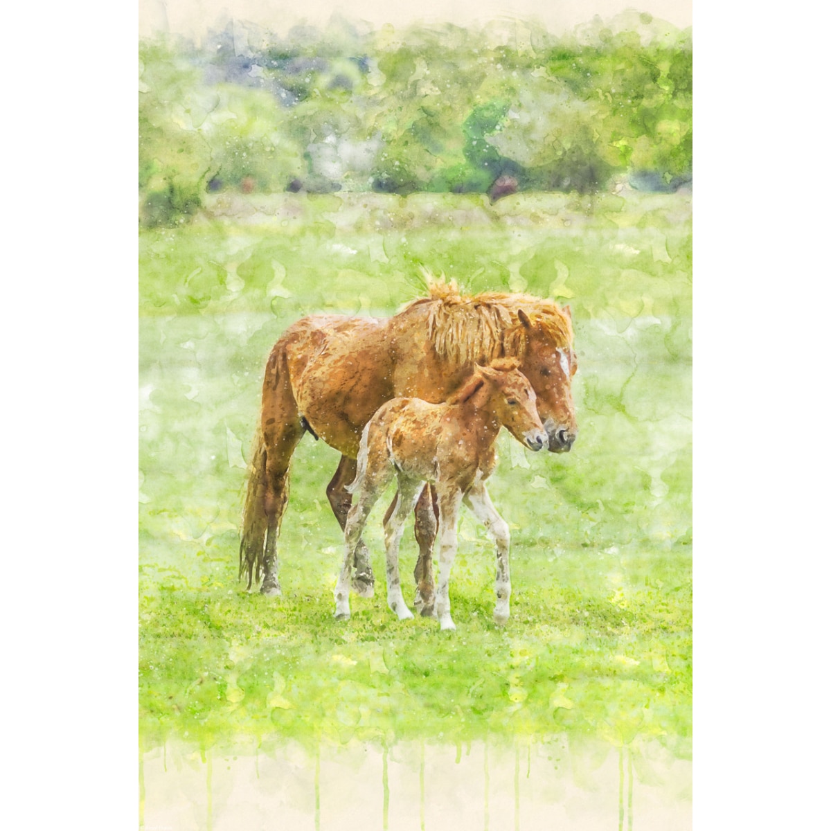 Poster perete, Zakito Posters, 30x45cm Cal cu manz 2, Assaf Frank - eMAG.ro