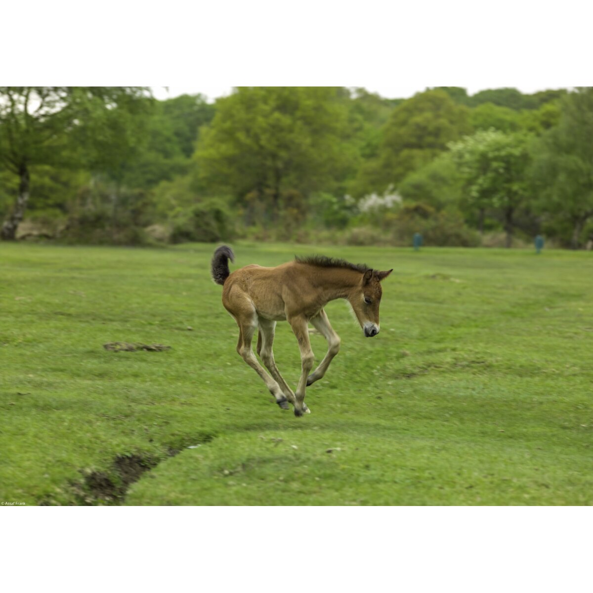 Poster perete, Zakito Posters, 42x29,7cm Un manz care alearga pe un ...