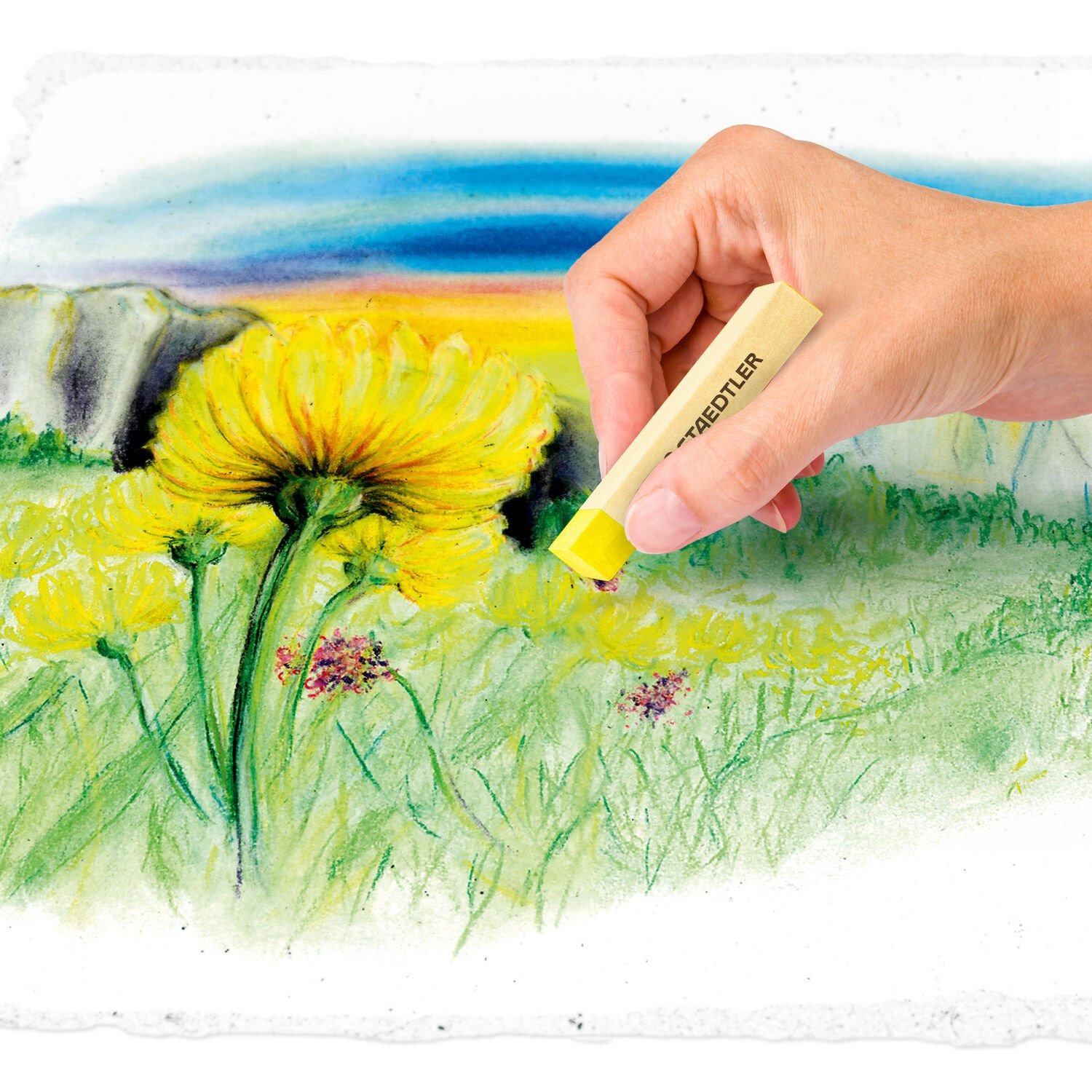 Pasteluri uscate 48 culori, Staedtler, Multicolor - eMAG.ro