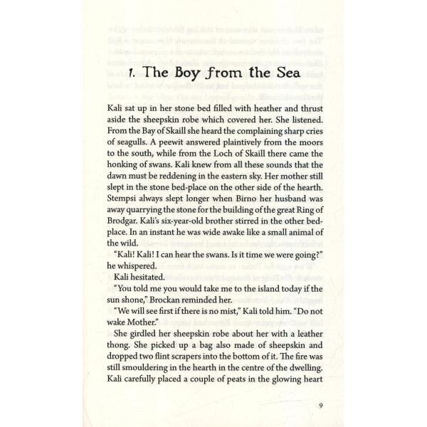 Boy with the Bronze Axe - eMAG.ro