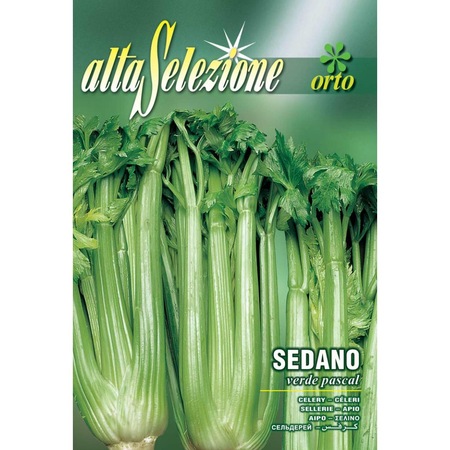 Seminte Alta Selezione legume - Telina de frunze Verde Pascal plic 3 ...