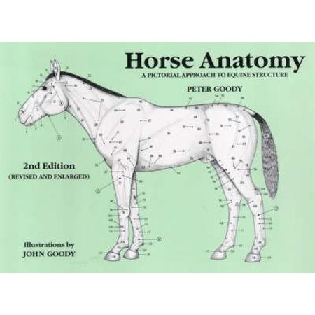 Horse Anatomy - Peter Goody - eMAG.ro