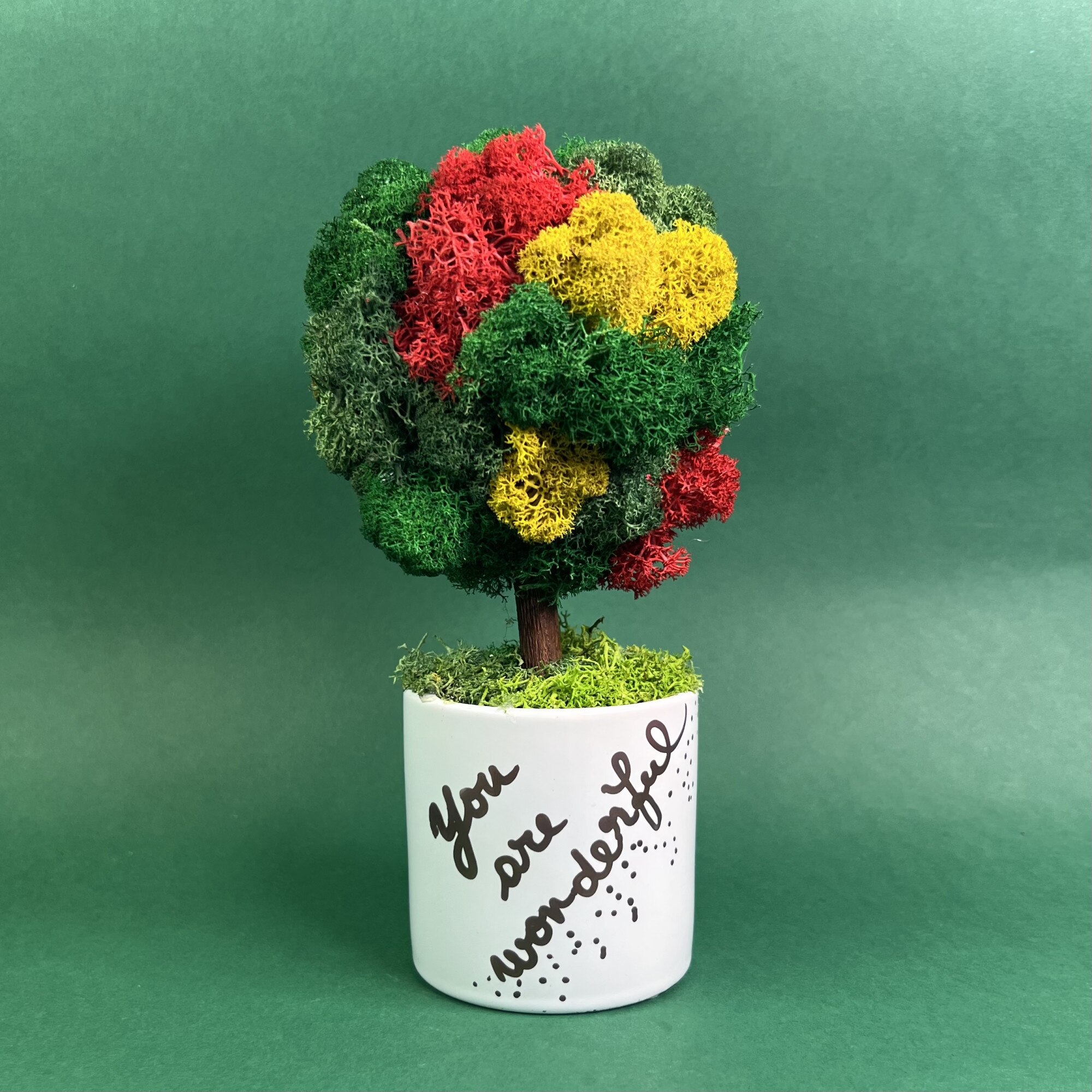 Copacel Wonderful licheni stabilizati 25cm - eMAG.ro