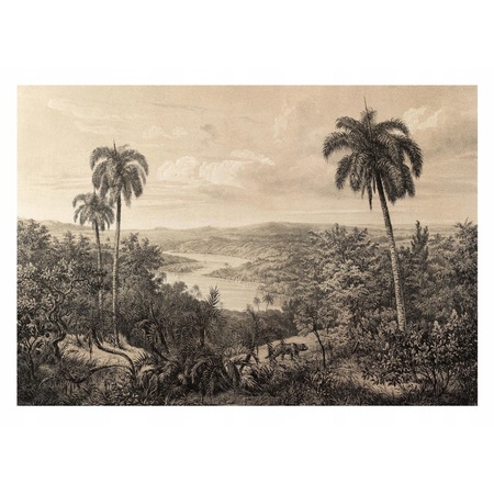 Тапет Jungle Vintage Retro Leaves 254x184 cm, Vlies Wallpaper ...