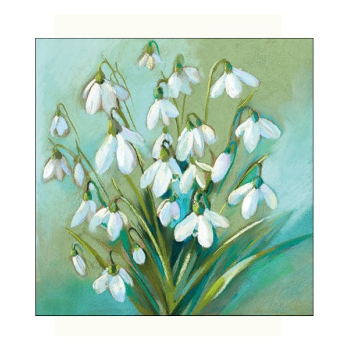 Keresés 🔎 hovirag | Vásárolj online az eMAG.hu-n