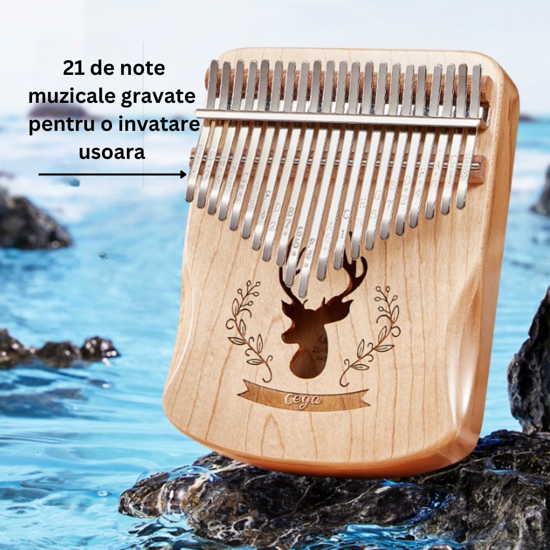 Kalimba instrument muzical cu 21 note, ergonomic, husa depozitare, Cega ...