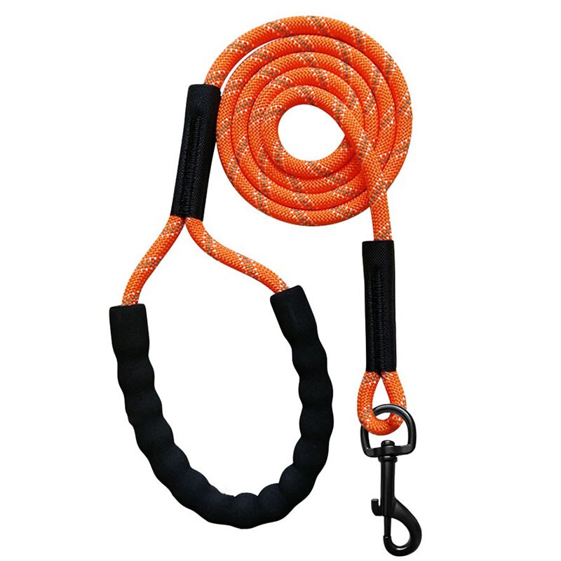 Lesa pentru caini, Nylon, 10m, Portocaliu - eMAG.ro