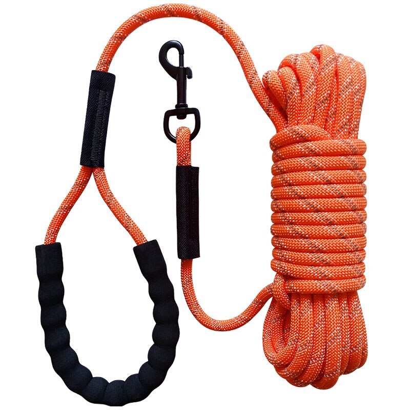 Lesa pentru caini, Nylon, 10m, Portocaliu - eMAG.ro