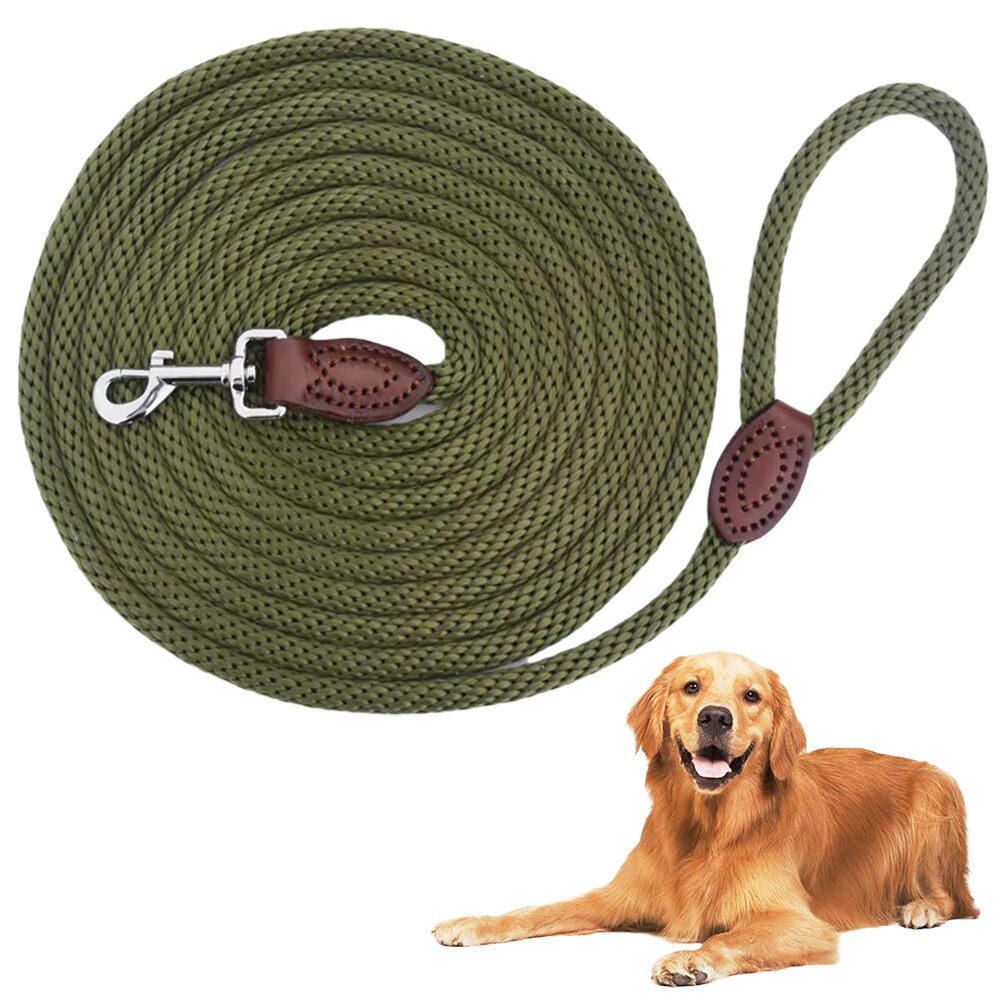 Lesa pentru caini, Nylon, 5m, Verde - eMAG.ro