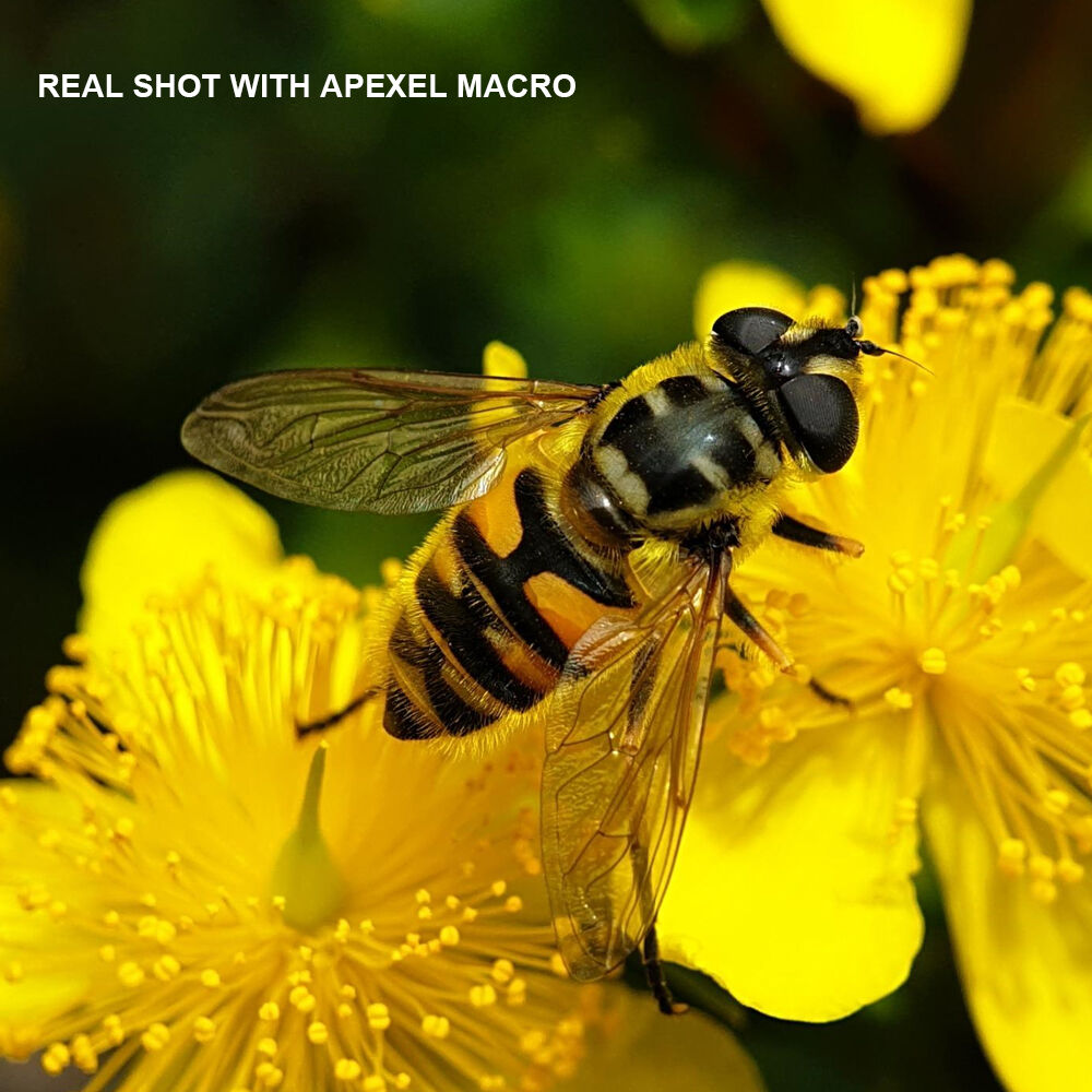Lentila Macro HD 100mm, Apexel, 10X, Multi Layer, 4K Professional, Clip ...